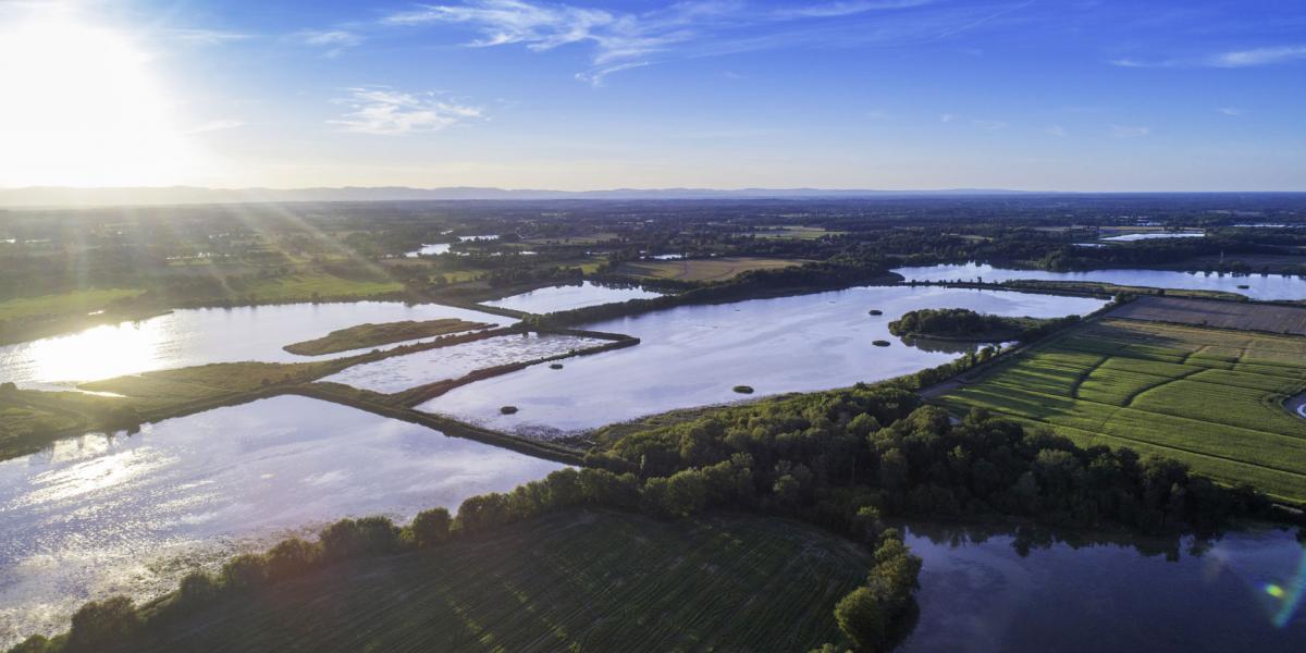 La Dombes, Terre d’étangs | Dombes Tourisme – Office de Tourisme