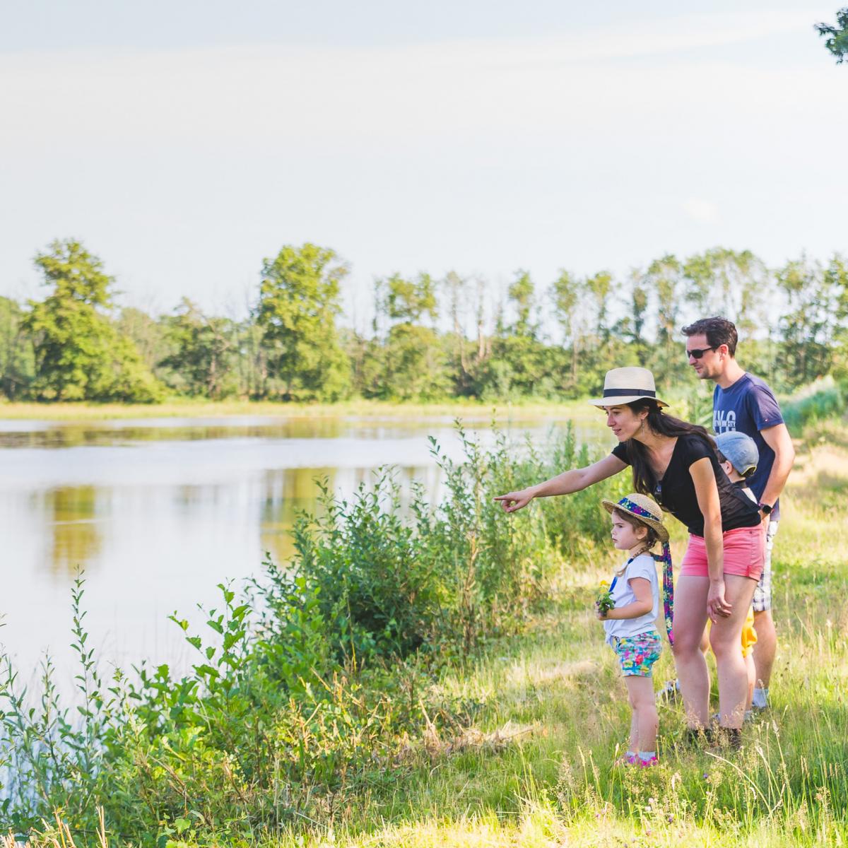 La Dombes, Terre d’étangs | Dombes Tourisme – Office de Tourisme