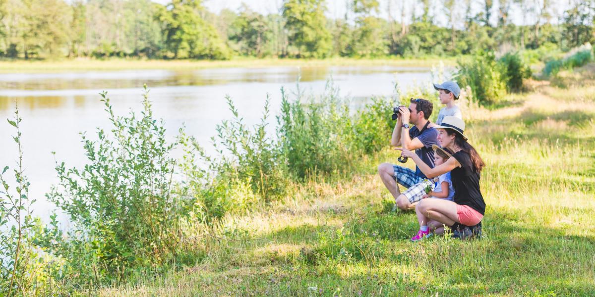 À voir, à faire | Dombes Tourisme – Office de Tourisme