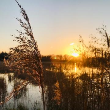 La Dombes, Terre d’étangs | Dombes Tourisme – Office de Tourisme