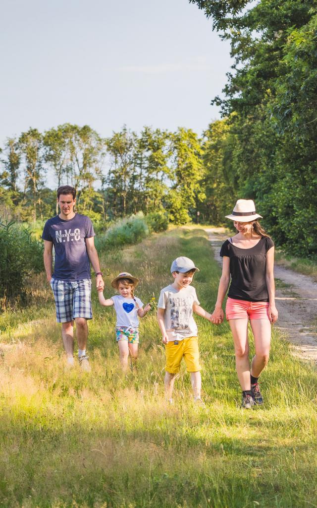 La Dombes, Terre d’étangs | Dombes Tourisme – Office de Tourisme