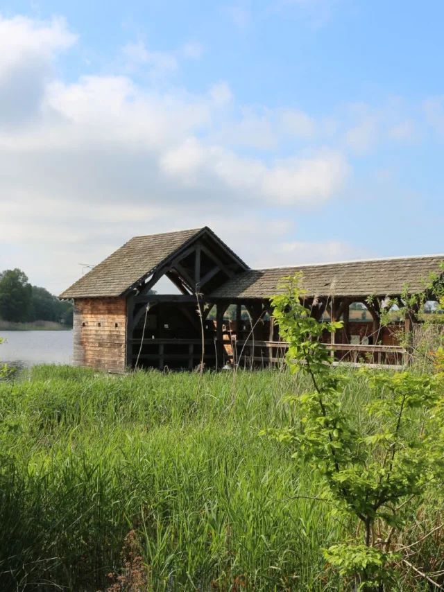 Bienvenue ! | Dombes Tourisme – Office de Tourisme