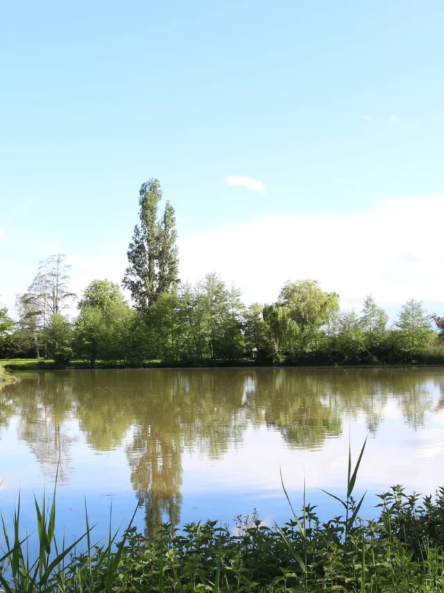 Bienvenue ! | Dombes Tourisme – Office de Tourisme